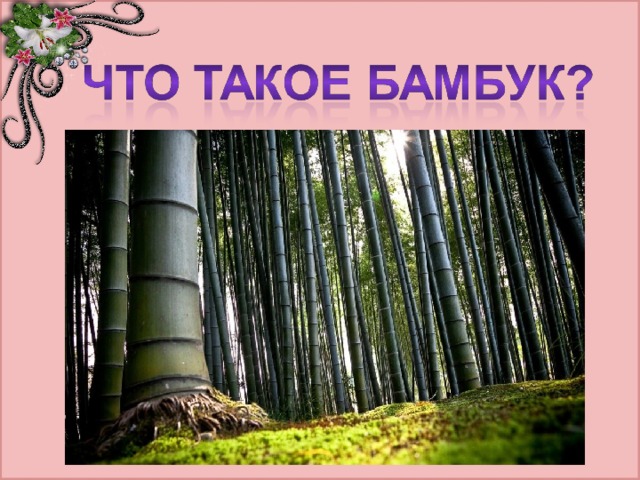 Решение задач с помощью формул