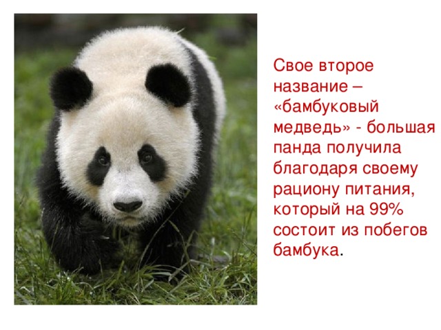 Решение задач с помощью формул